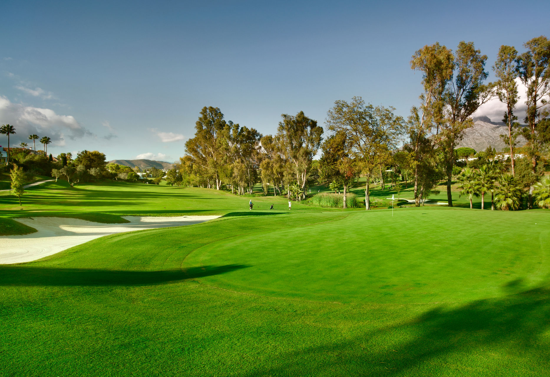 Aloha Golf Club | Guía de Área