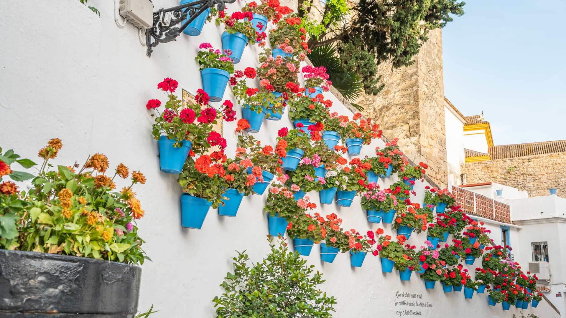 Marbella centre | Area Guide